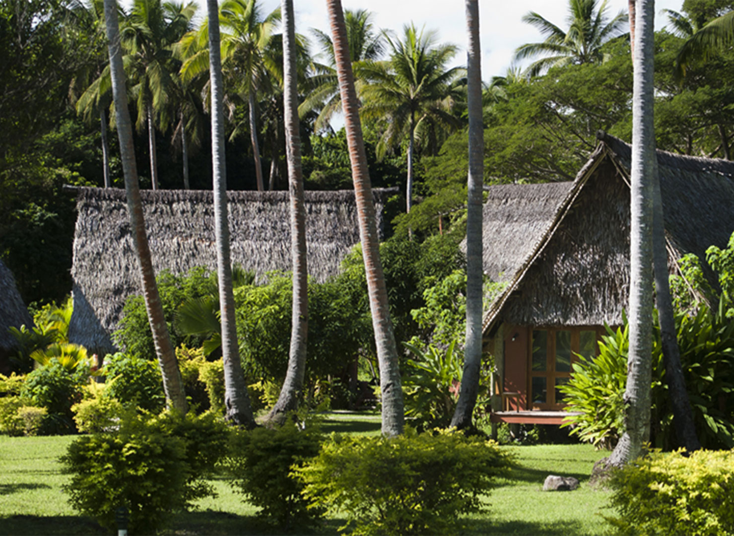 Mango Bay Resort, Fiji Islands - AAPi Design