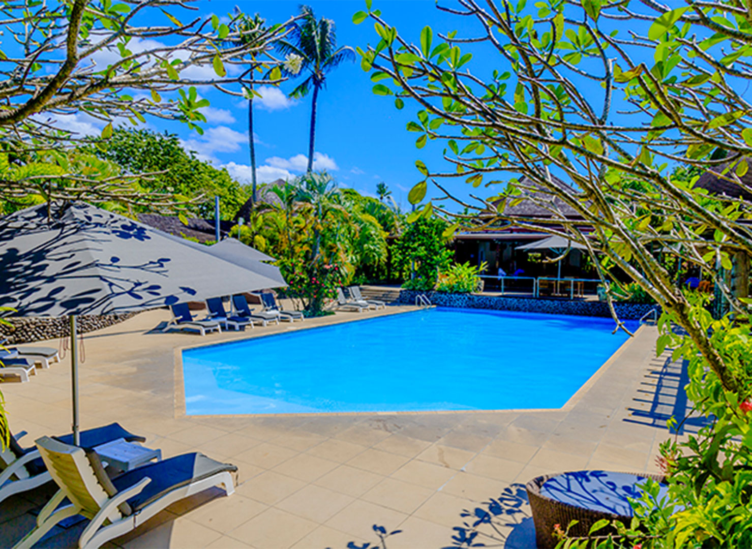 Tanoa Tusitala Samoa - AAPi Design